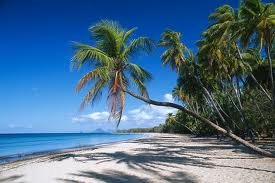 Macouba: Les 5 plus beaux endroits à visiter en Martinique | TopCinq.fr