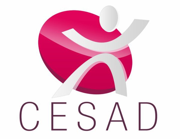CESAD, formation esthétique sur internet: 5 sites proposant la ...